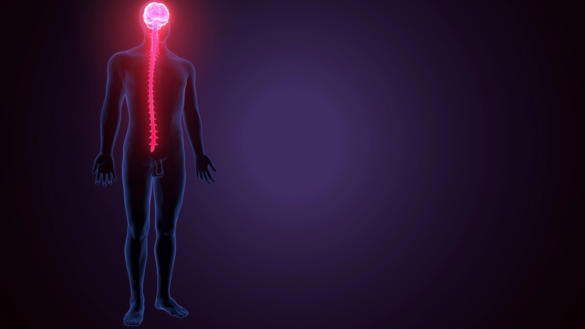 The Neuro-Immune Link in Gout Pain Perception - Making Sense of Gout